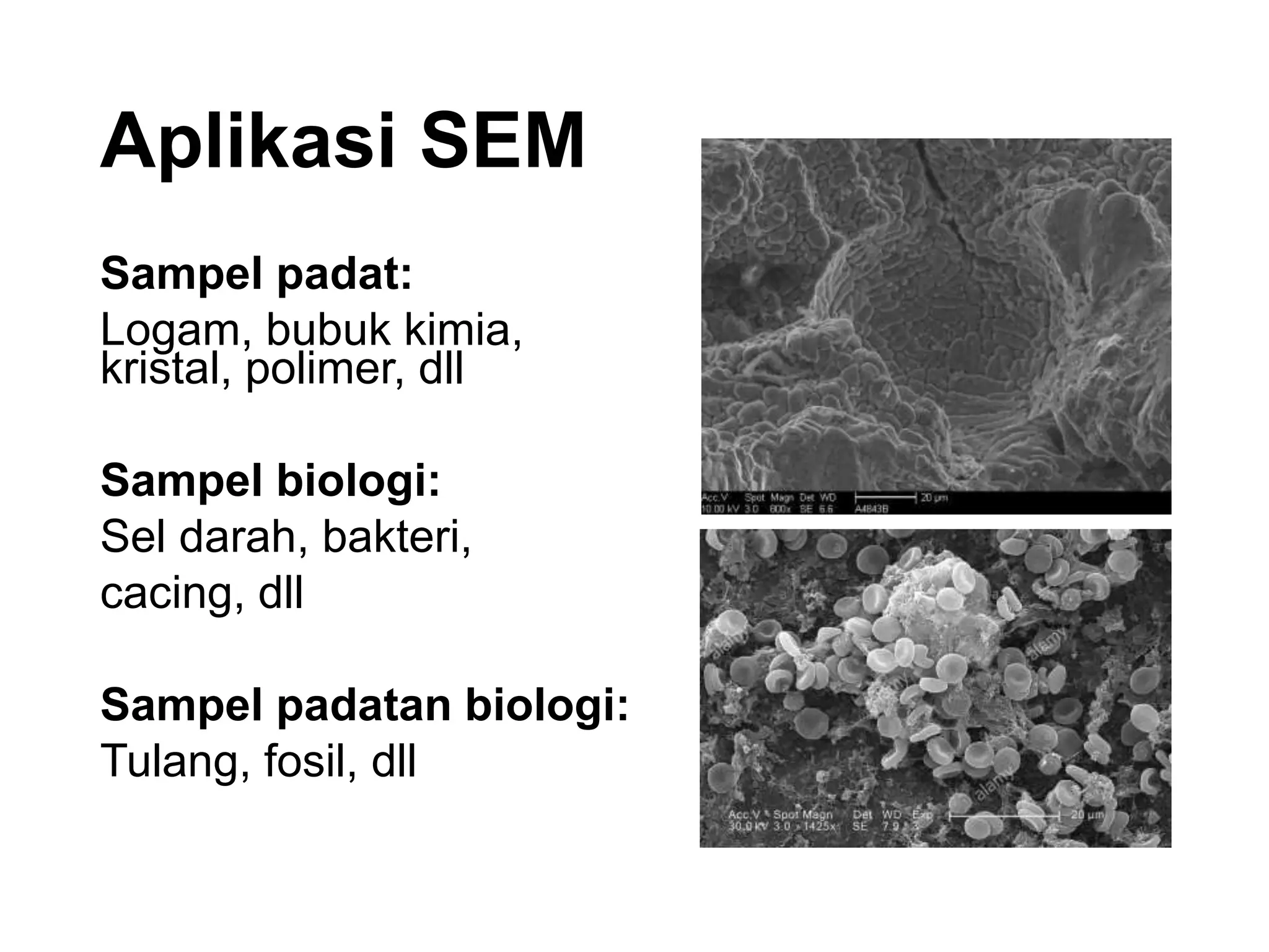 Pengujian material menggunakan SEM-EDX | PPTX