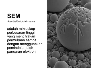 Pengujian material menggunakan SEM-EDX | PPTX