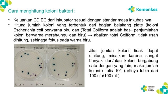 Pengujian Parameter Mikrobiologi_V1.pptx