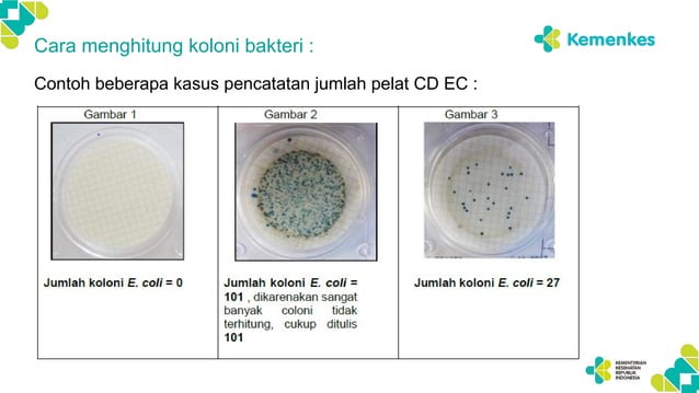 Pengujian Parameter Mikrobiologi_V1.pptx