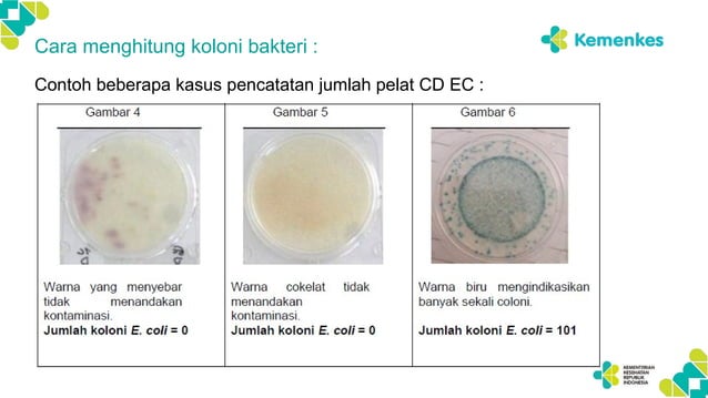 Pengujian Parameter Mikrobiologi_V1.pptx