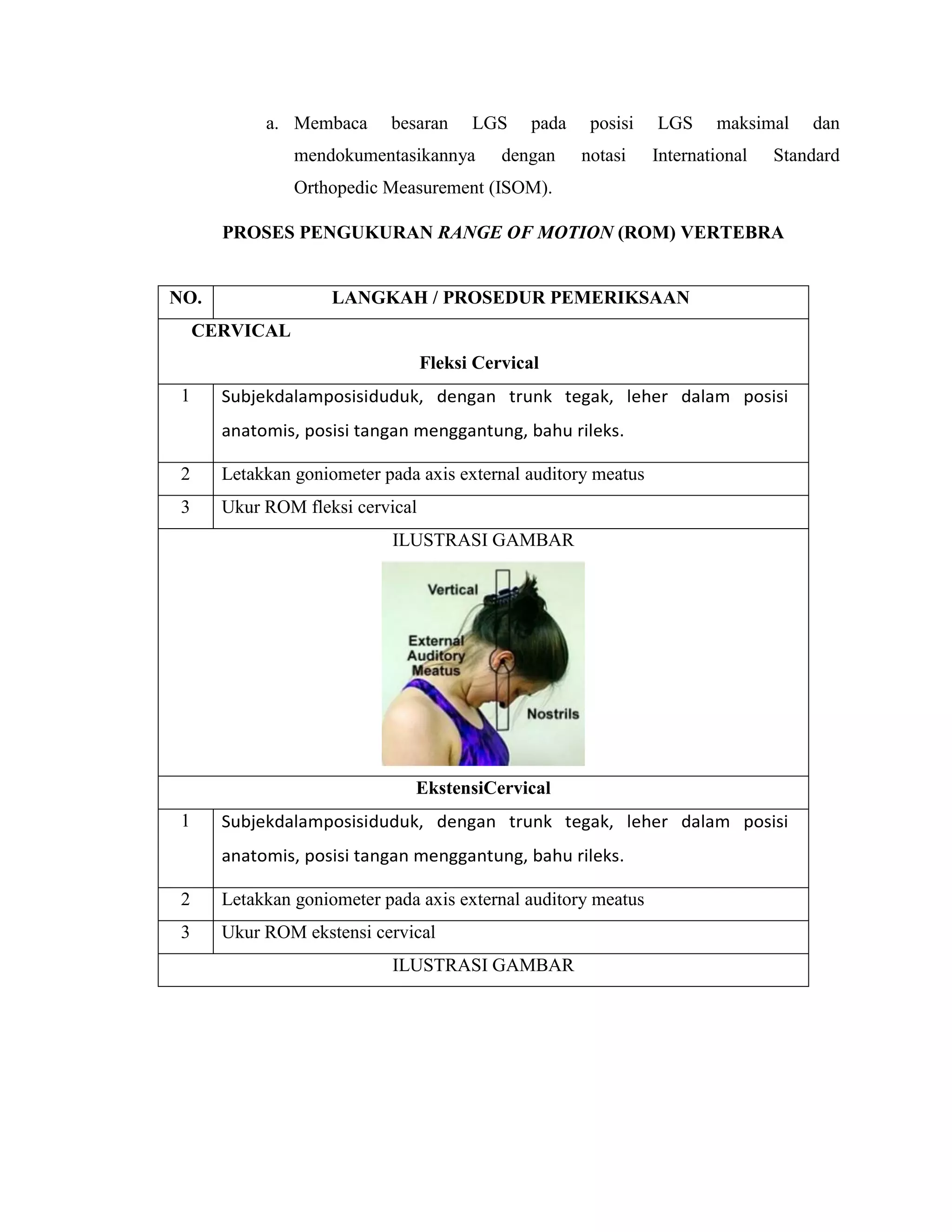 Pengukuran rom | PDF