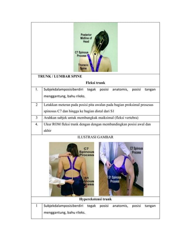 Pengukuran rom | PDF