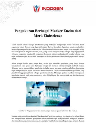 Pengukuran Berbagai Marker Enzim dari Merk Elabscience - PT Indogen ...