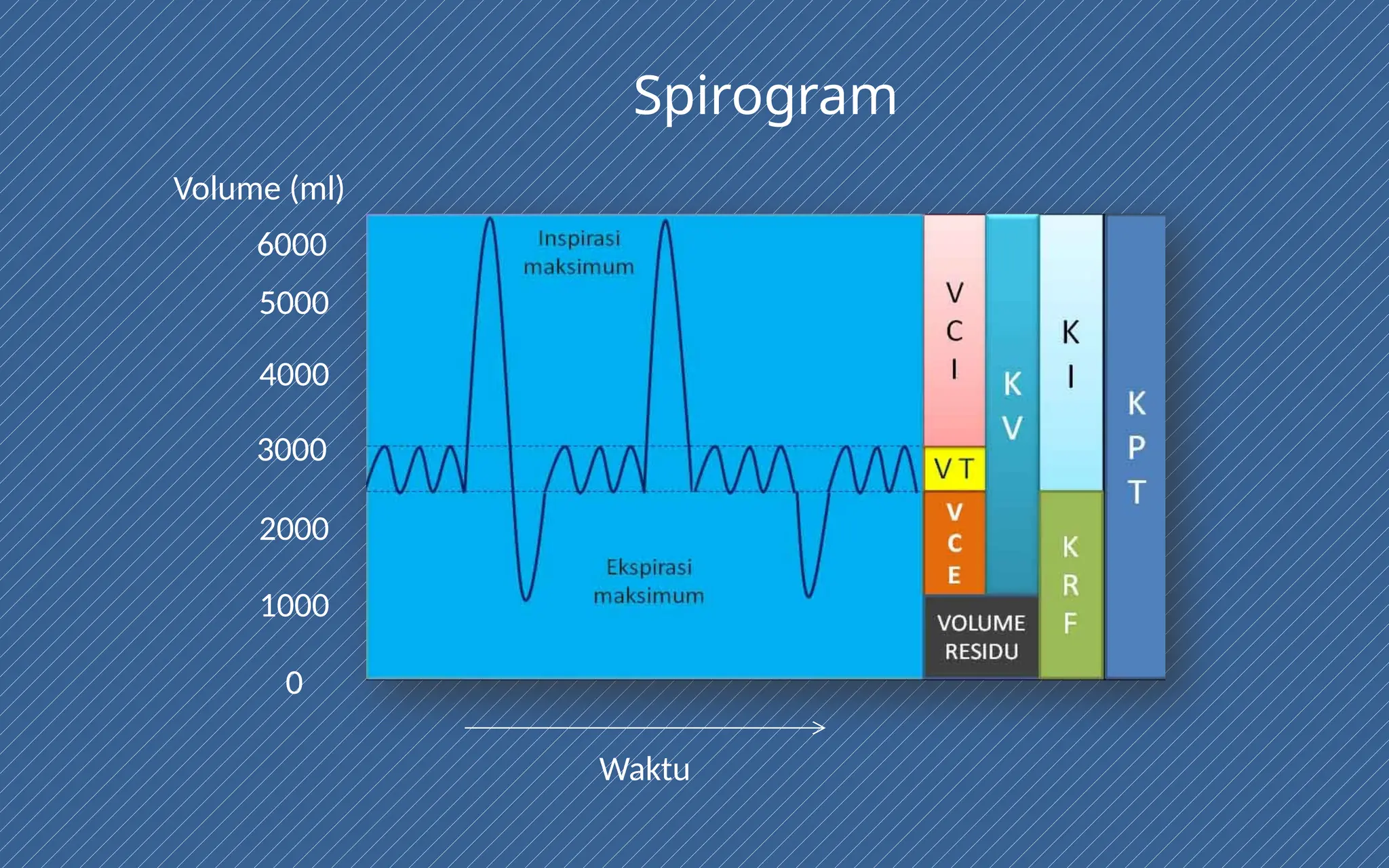 PENGUKURAN SISTEM PERNAFASAN MANUSIA.pptx