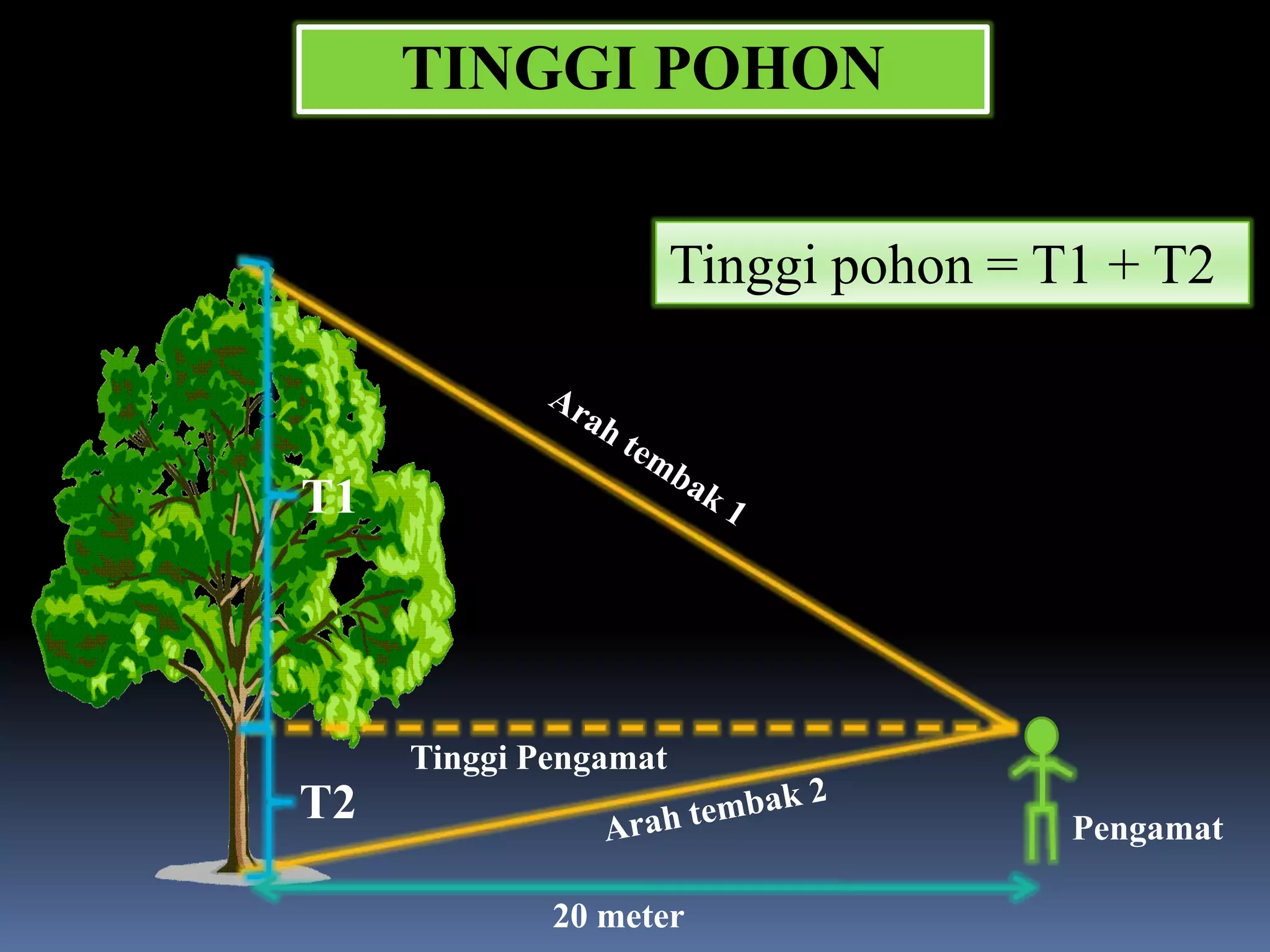 Pengukuran Tinggi Pohon | PPTX
