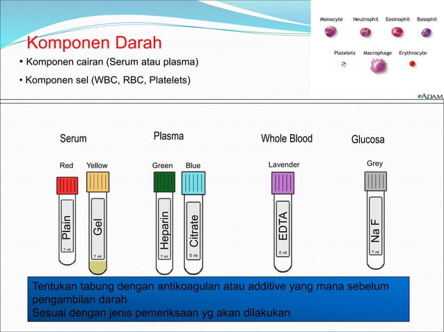 Pengumpulan Darah laboratorium klinik juga | PPT