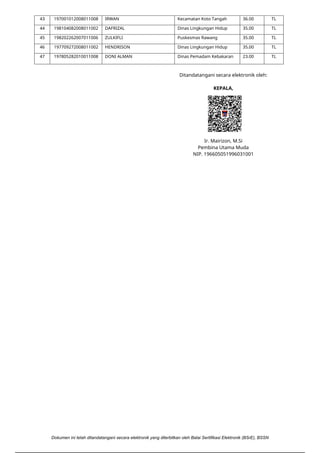 Pengumuman Hasil Udin PI 2024 padang city.pdf