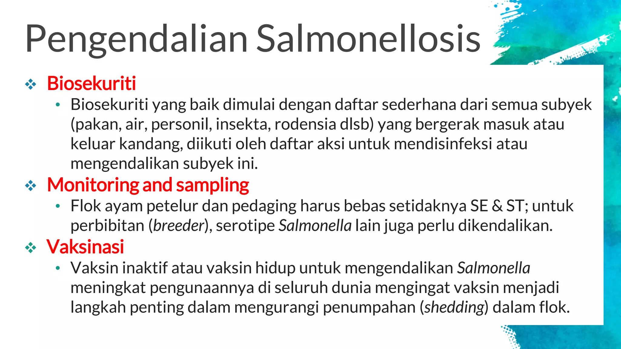 Pengurangan Risiko Salmonella Enteritidis Pada Ayam Petelur ...