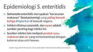 Pengurangan Risiko Salmonella Enteritidis Pada Ayam Petelur ...