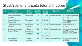 Pengurangan Risiko Salmonella Enteritidis Pada Ayam Petelur ...