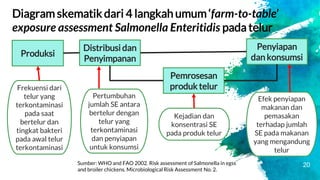Pengurangan Risiko Salmonella Enteritidis Pada Ayam Petelur ...