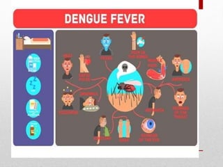 Pengurusan Denggi PPT | PPTX