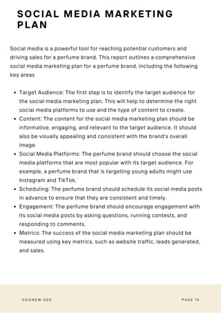 digital marketing project strategy | PDF