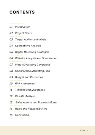 digital marketing project strategy | PDF