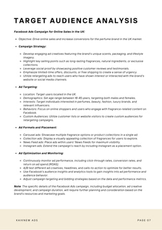 digital marketing project strategy | PDF