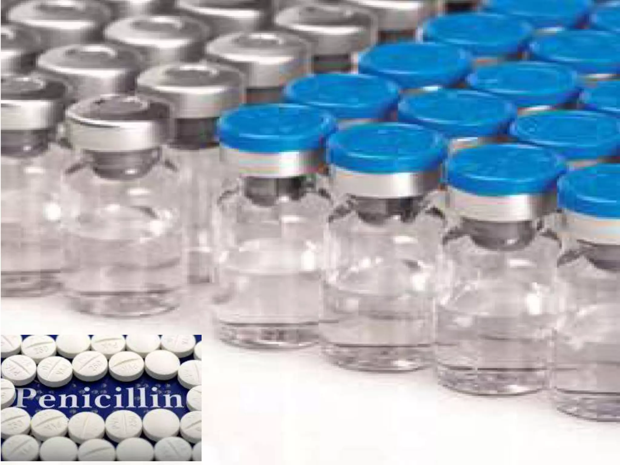 Penicclin production | PPTX