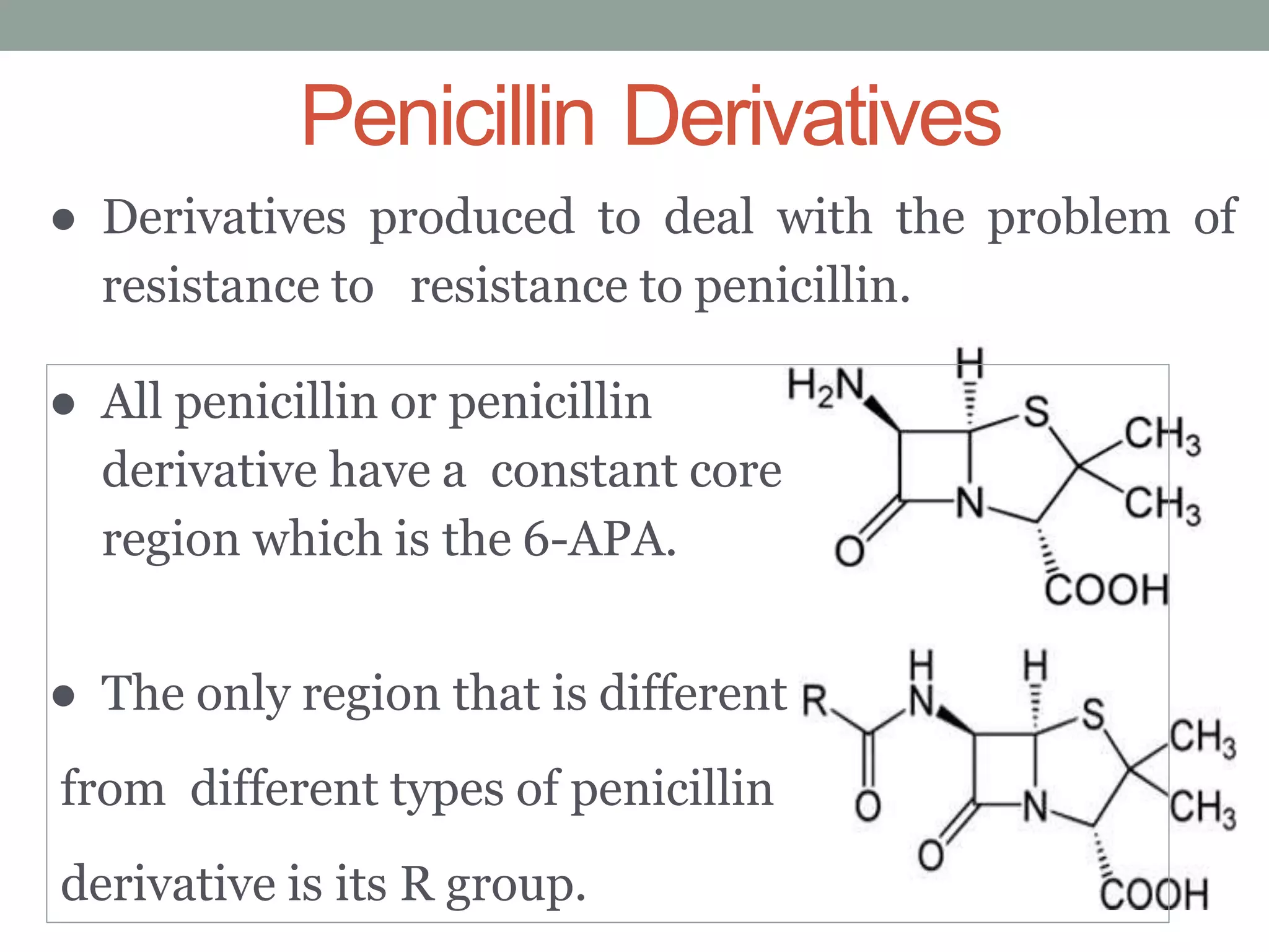 Penicclin production | PPTX