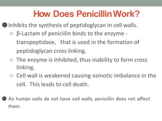 Penicclin production | PPT