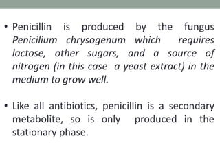 Penicclin production | PPT