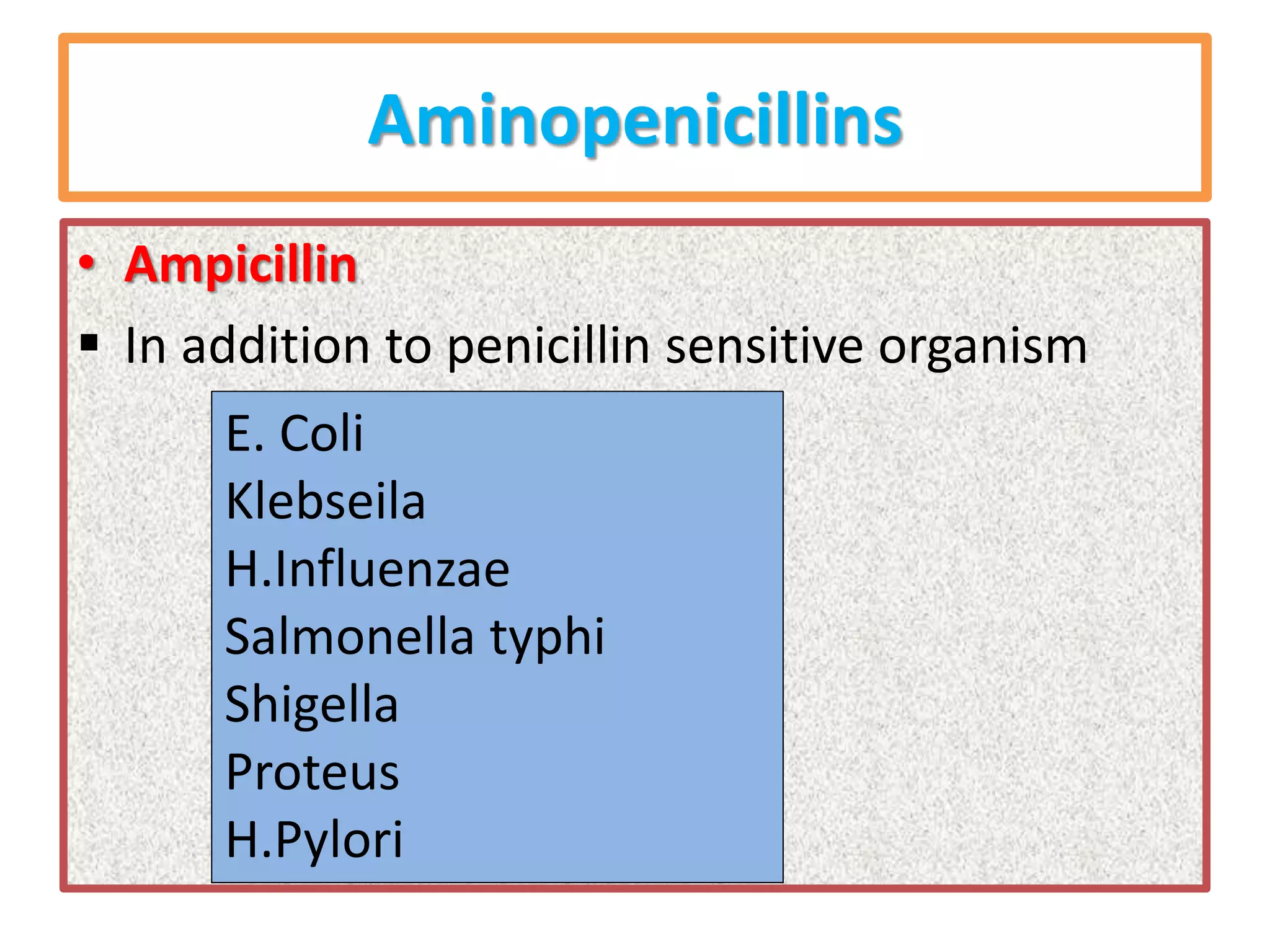 Peniciliin | PPT