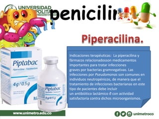 Penicilinas pared bacteriana | PPTX