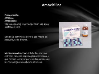 Penicilinas | PPTX