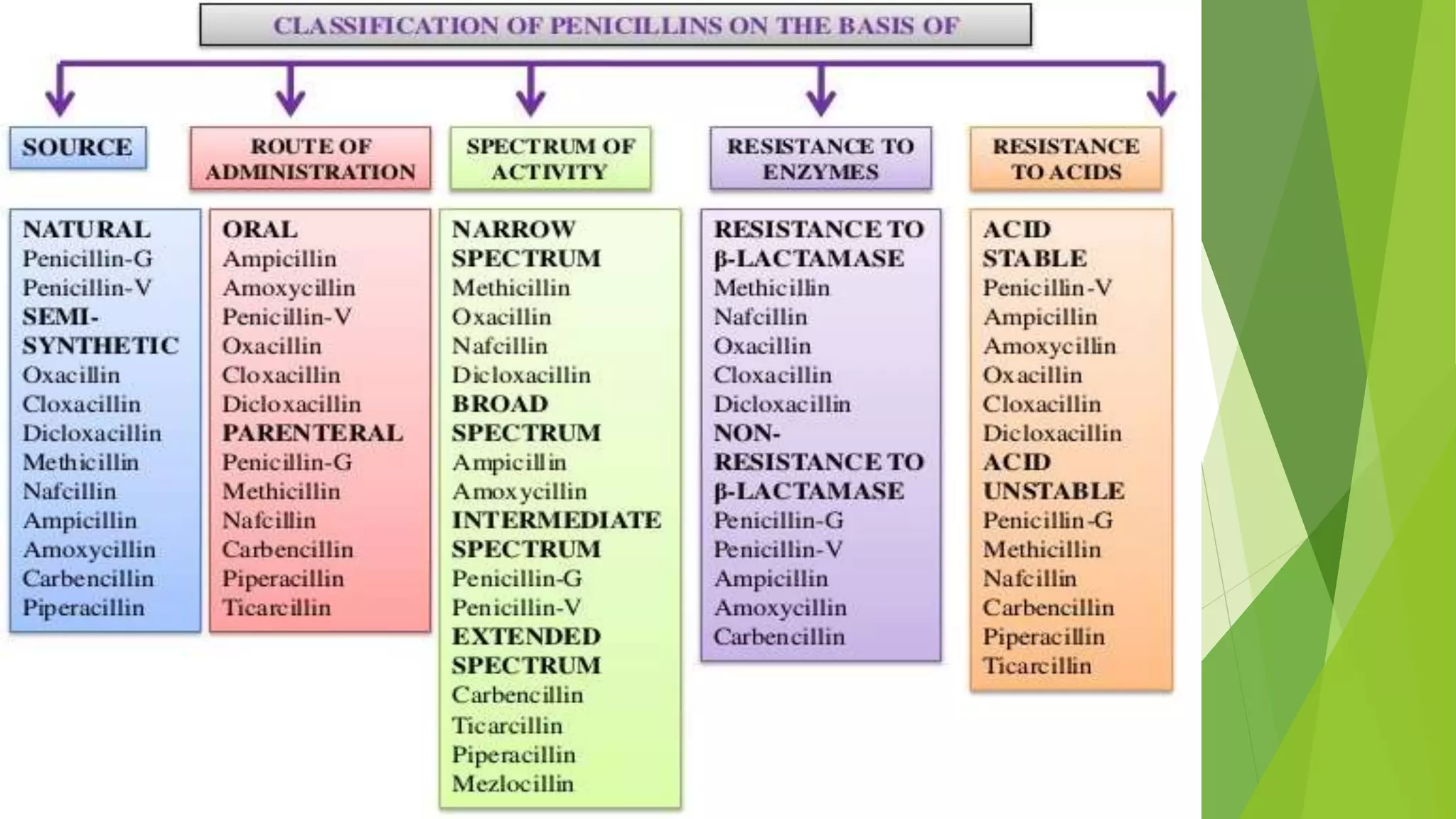 Peniciline | PPTX