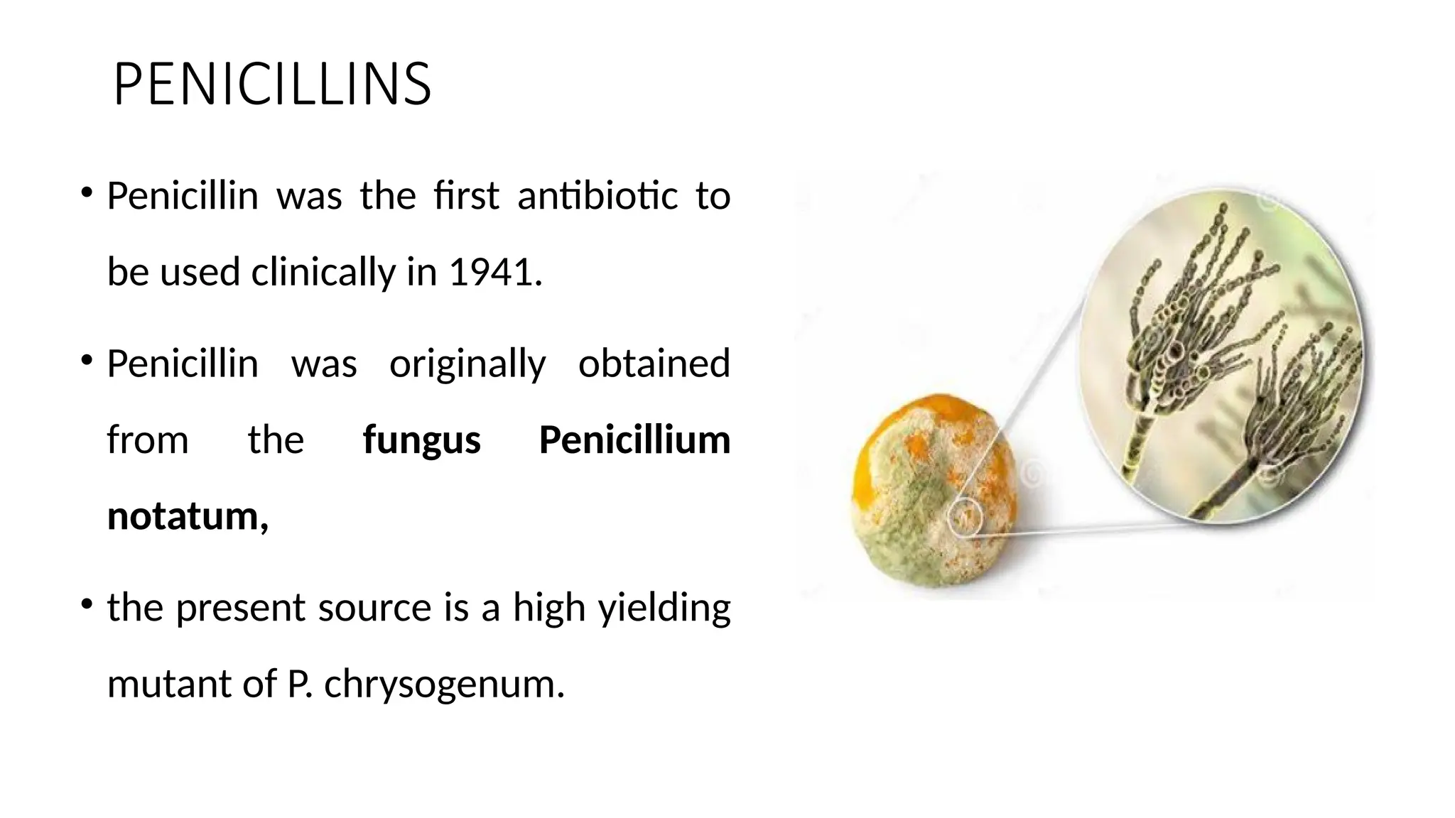 PENICILINES AND THEIR MECHANISM OF ACTION .pptx