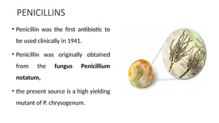 PENICILINES AND THEIR MECHANISM OF ACTION .pptx