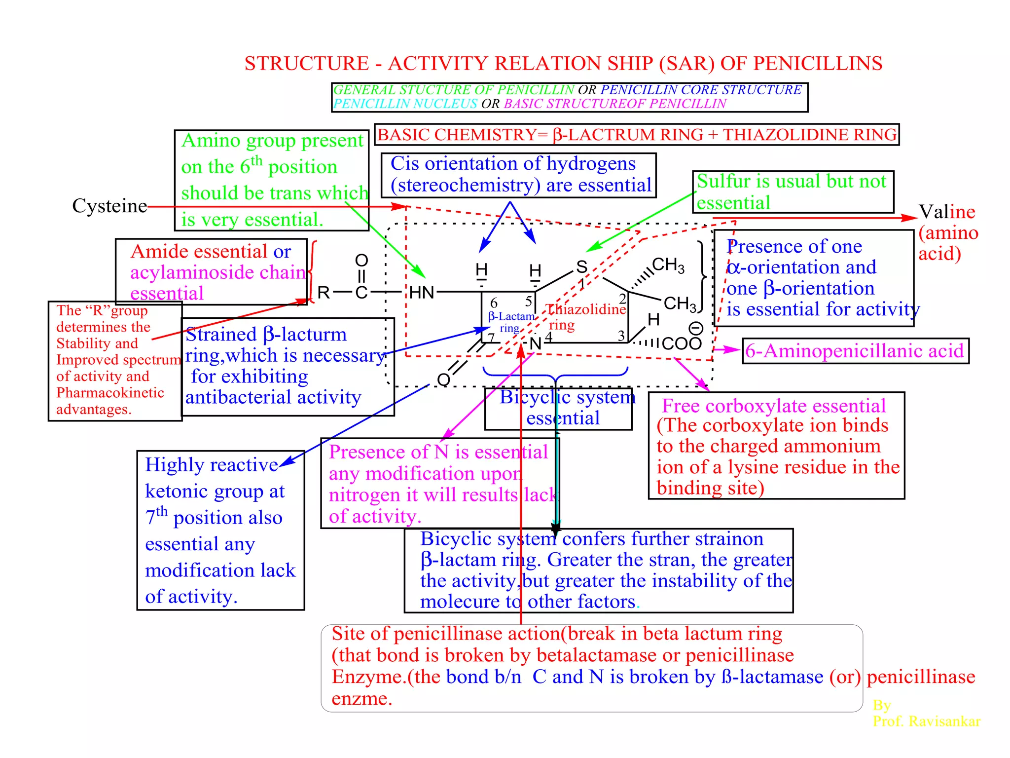penicillins - power point - History,mechanism of action,classification ...