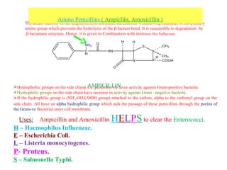 ANTIBIOTICS[PENICILLINS] MEDICINAL CHEMISTRY BY RAVISANKAR | PPT