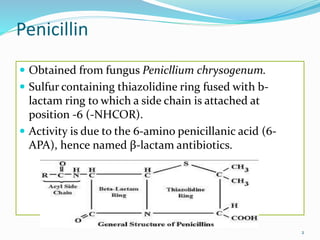Penicillin | PPTX