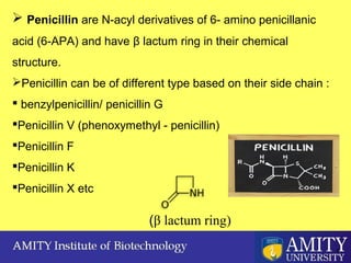Penicillin | PPT