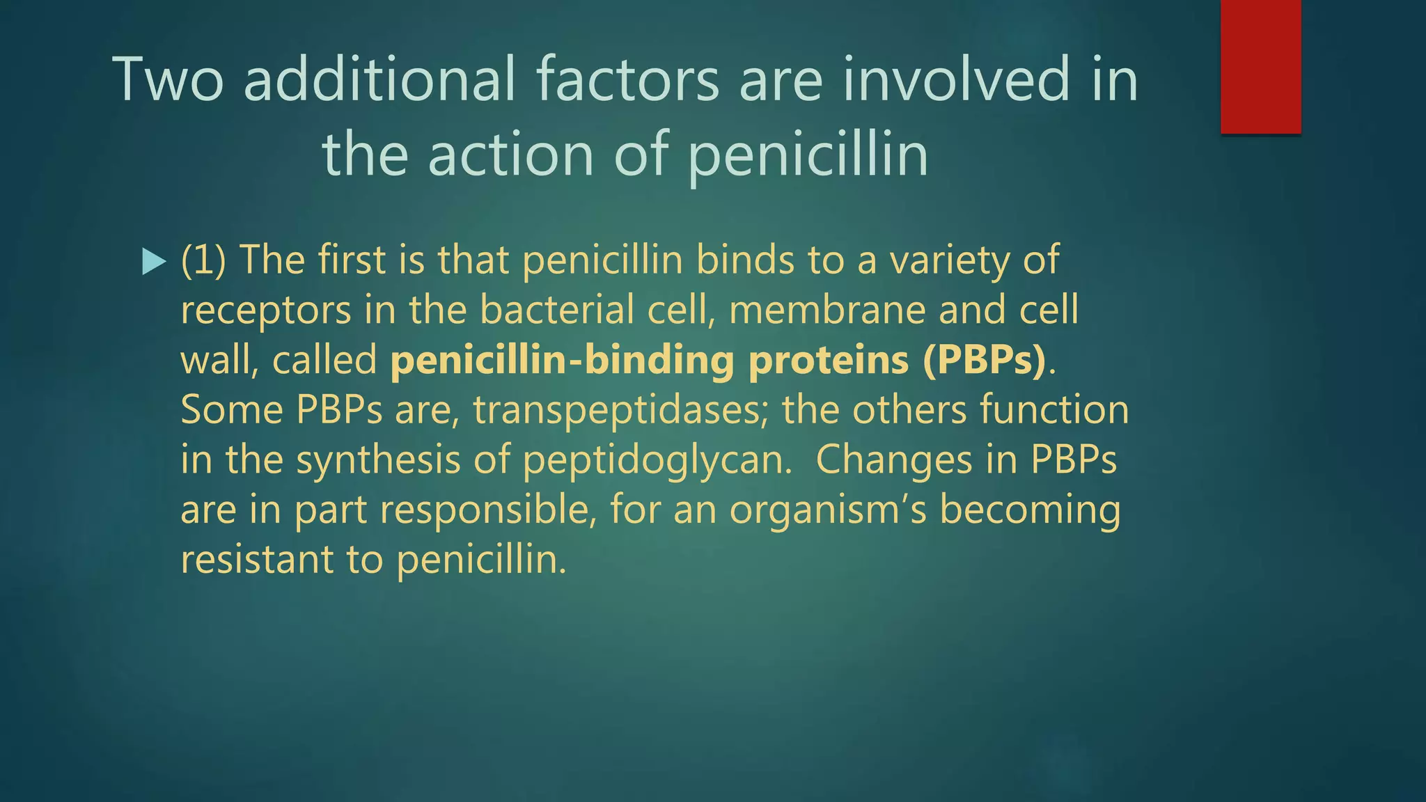 Antibiotic Penicillin | PPTX