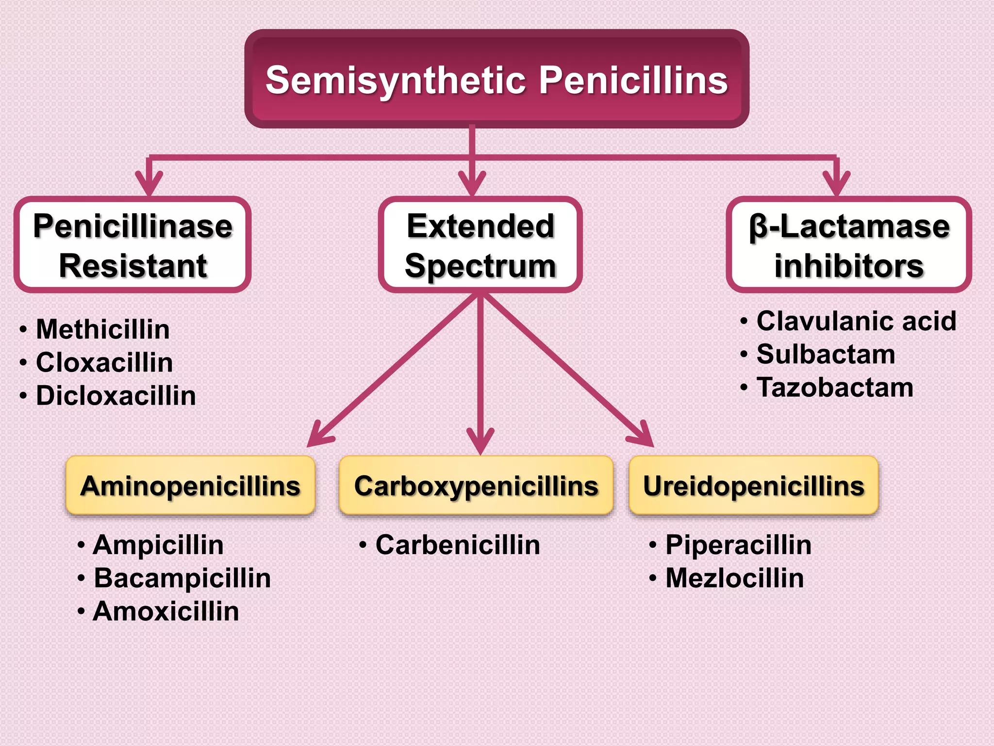 Penicillin | PPTX