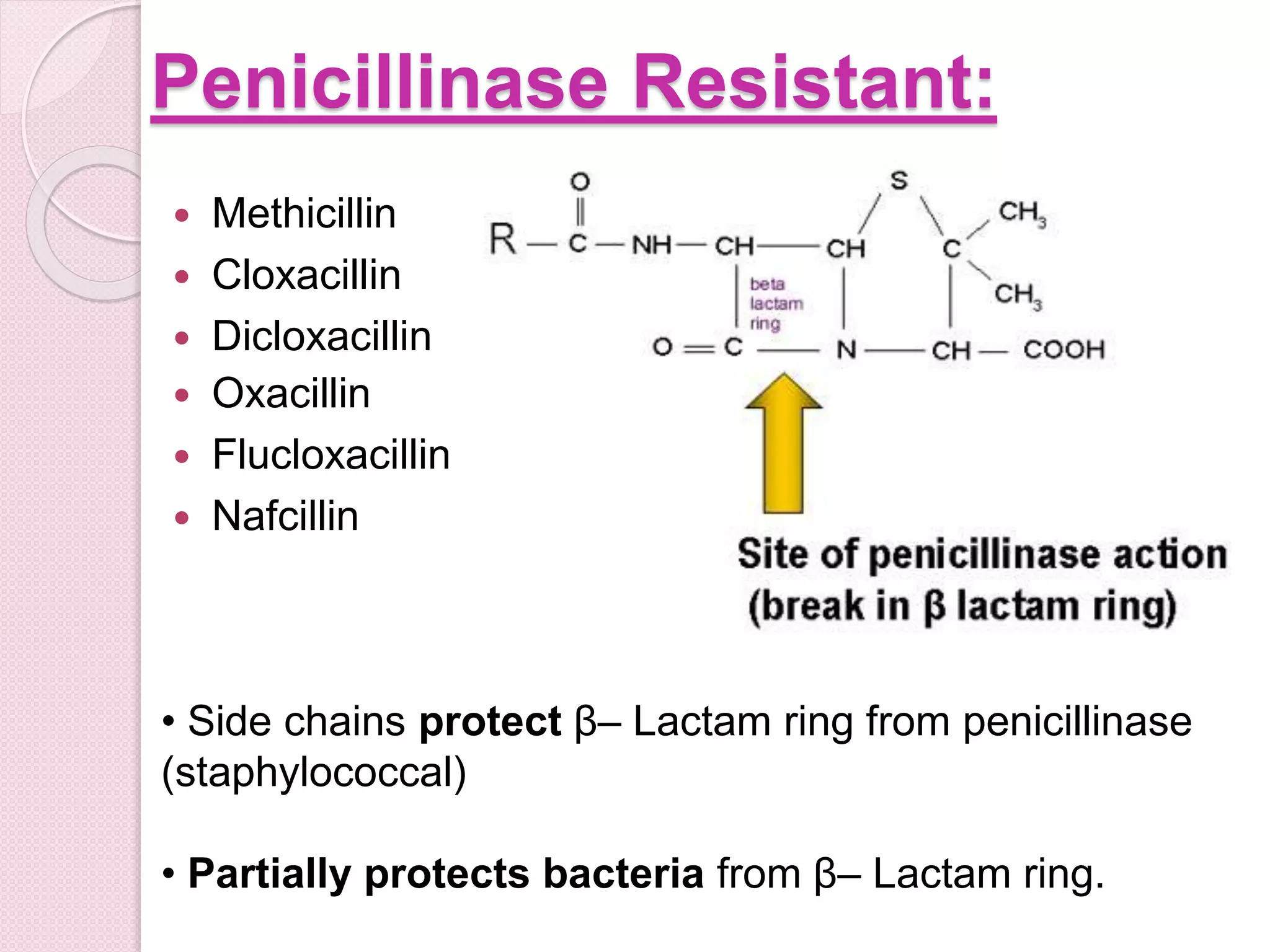 Penicillin | PPTX