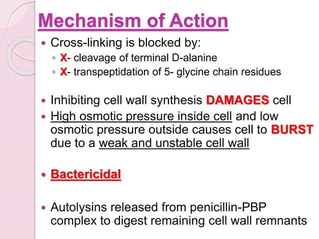 Penicillin | PPTX | Infectious Diseases | Diseases and Conditions