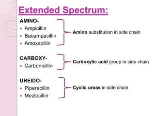 Penicillin | PPTX