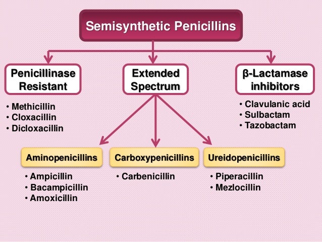 Penicillin
