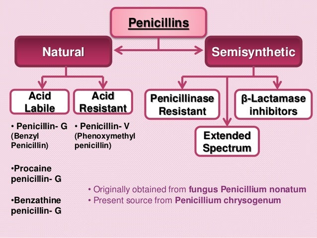 Penicillin