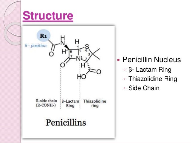Penicillin