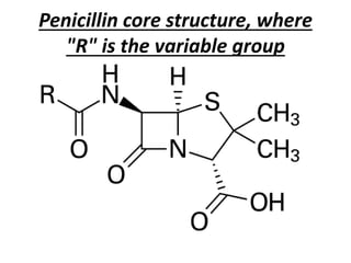 Penicillin | PPTX