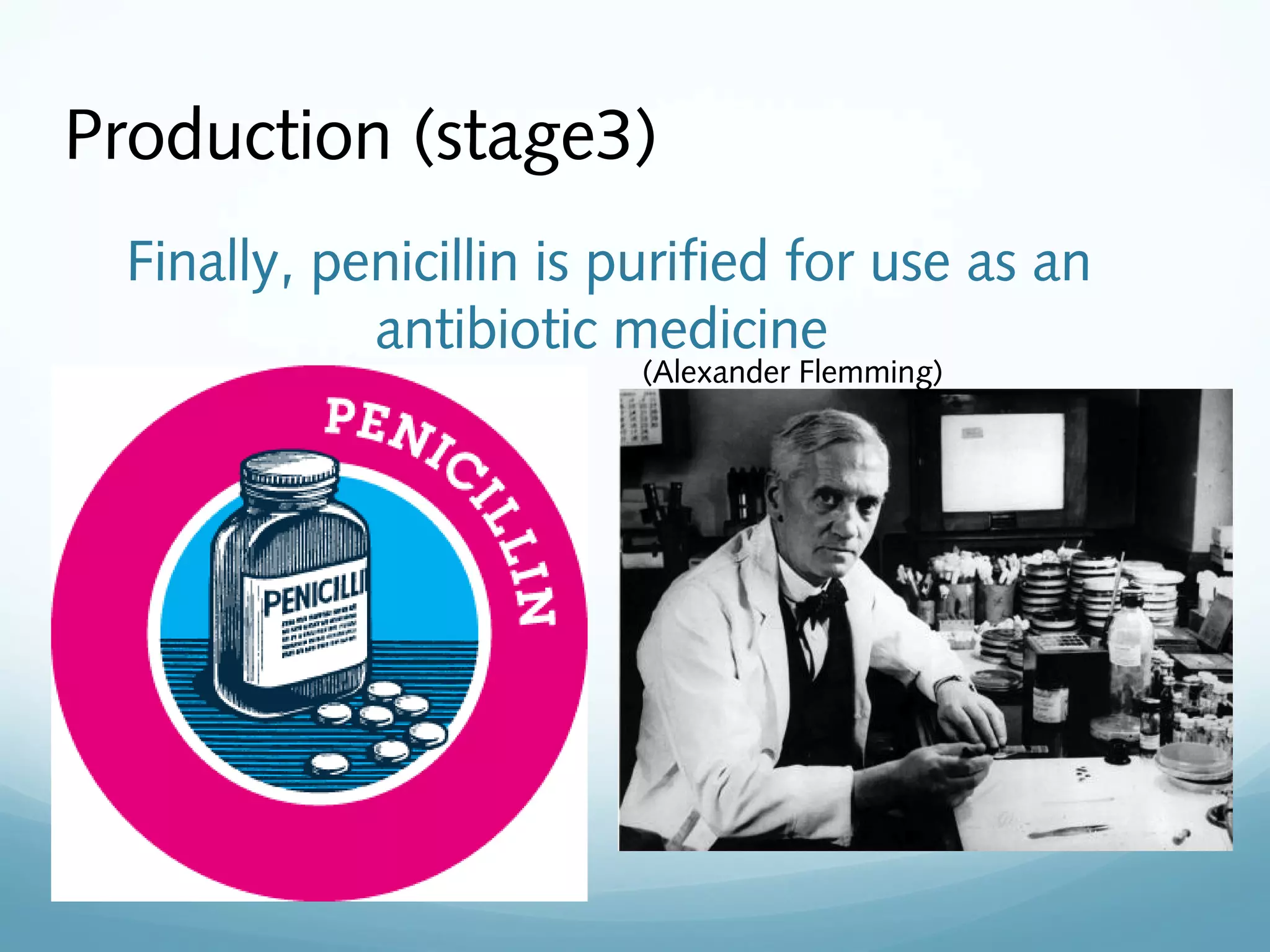 Penicillin -discovery and production | PPT
