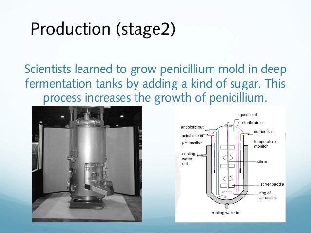 Penicillin -discovery and production