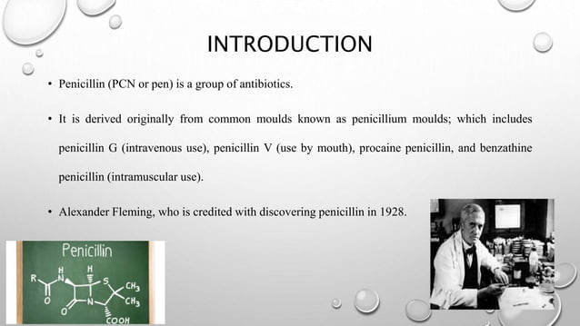Penicillin | PPT