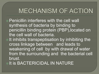 Penicillin | PPT