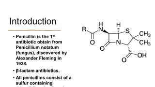 Penicillin | PPTX