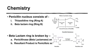 Penicillin | PPTX