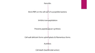 Penicillin | PPT